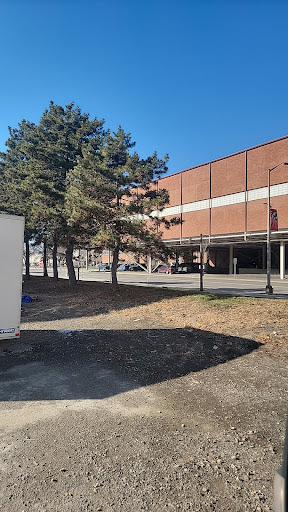 Ford Dearborn Butler Yard in Detroit, MI ⚡ USJunkYards